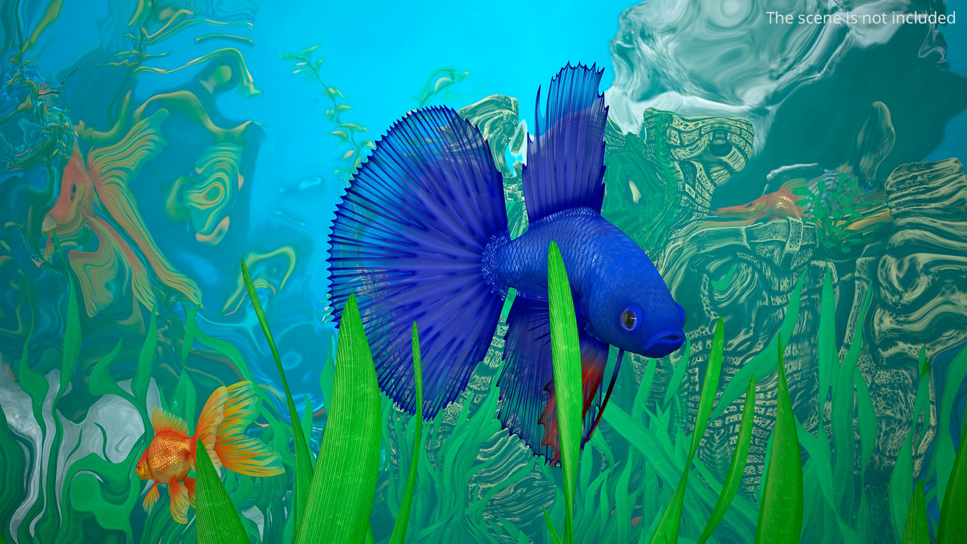 3D Blue Crowntail Betta Fish Swimming Animated Rigged - TurboSquid 2444132