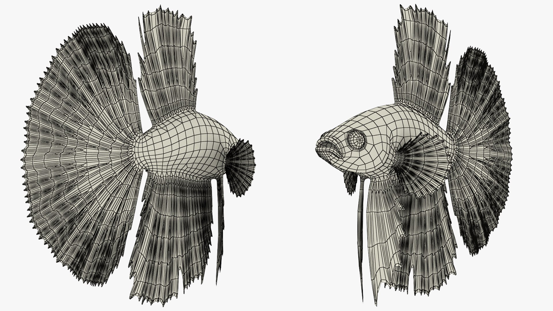 3D Blue Crowntail Betta Fish Swimming Animated Rigged - TurboSquid 2444132