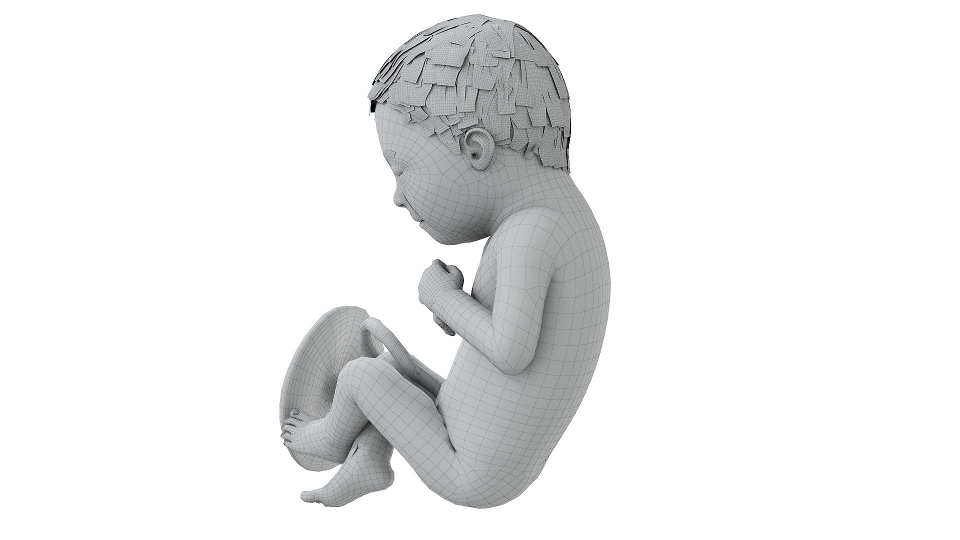 3D Fetus Anatomy Week 30 Animated - TurboSquid 1797811