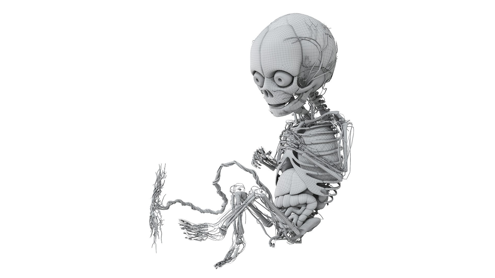 3D Fetus Anatomy Week 30 Animated - TurboSquid 1797811