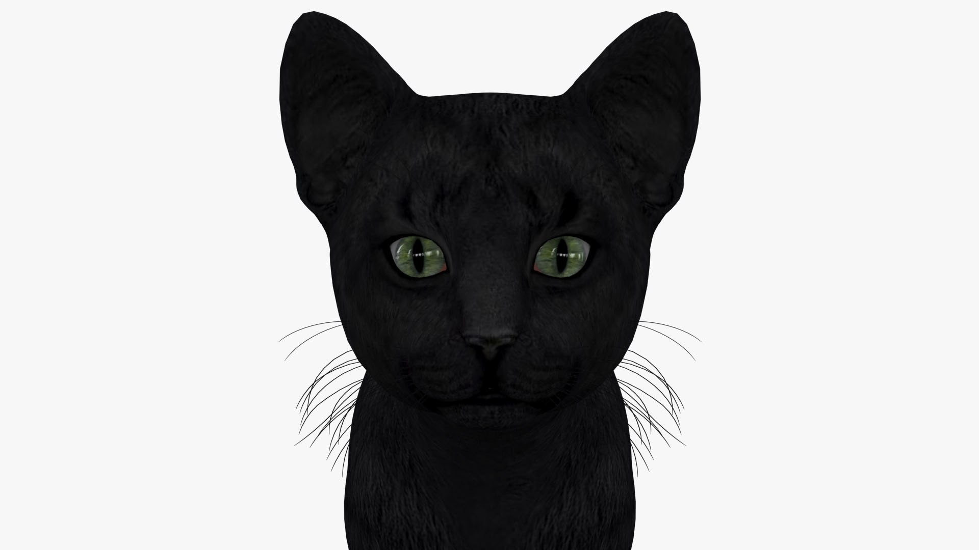 3d Model Cat 001 Rigged Cat Turbosquid 2117601