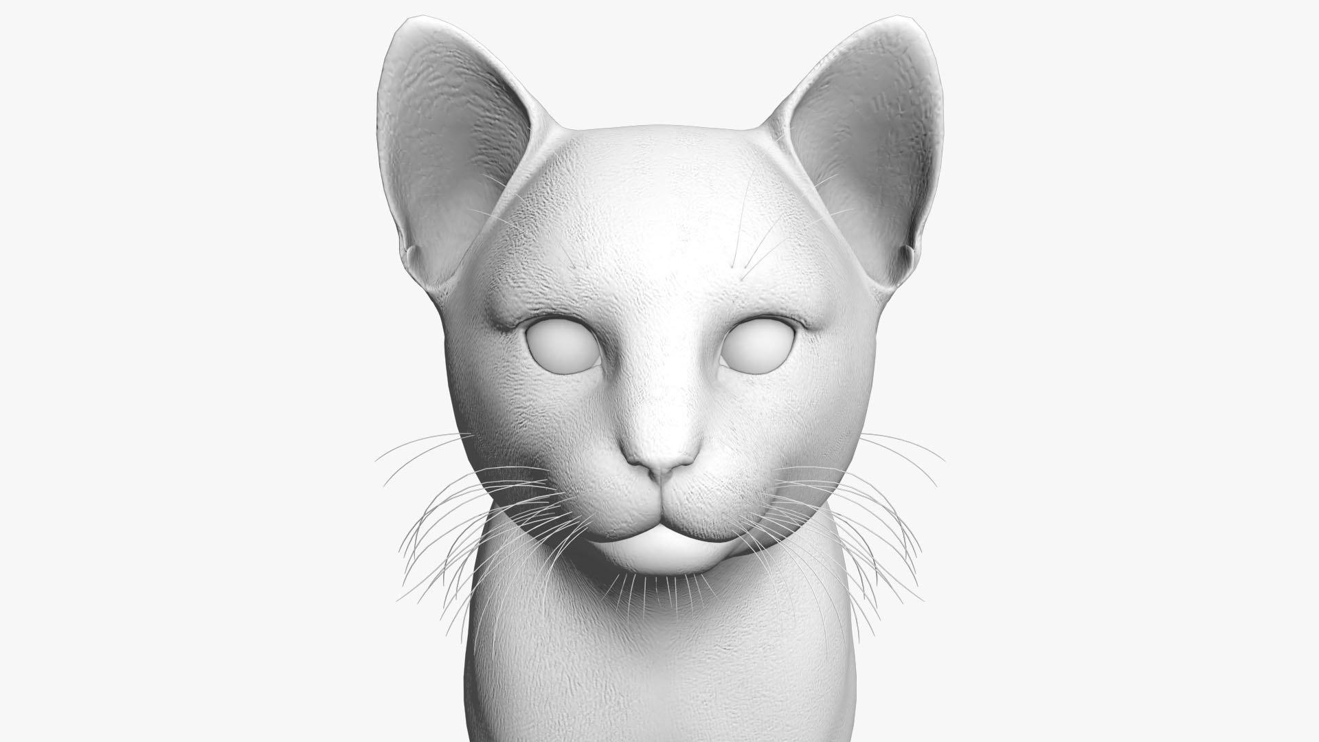 3D Model CAT-001 Rigged Cat - TurboSquid 2117601