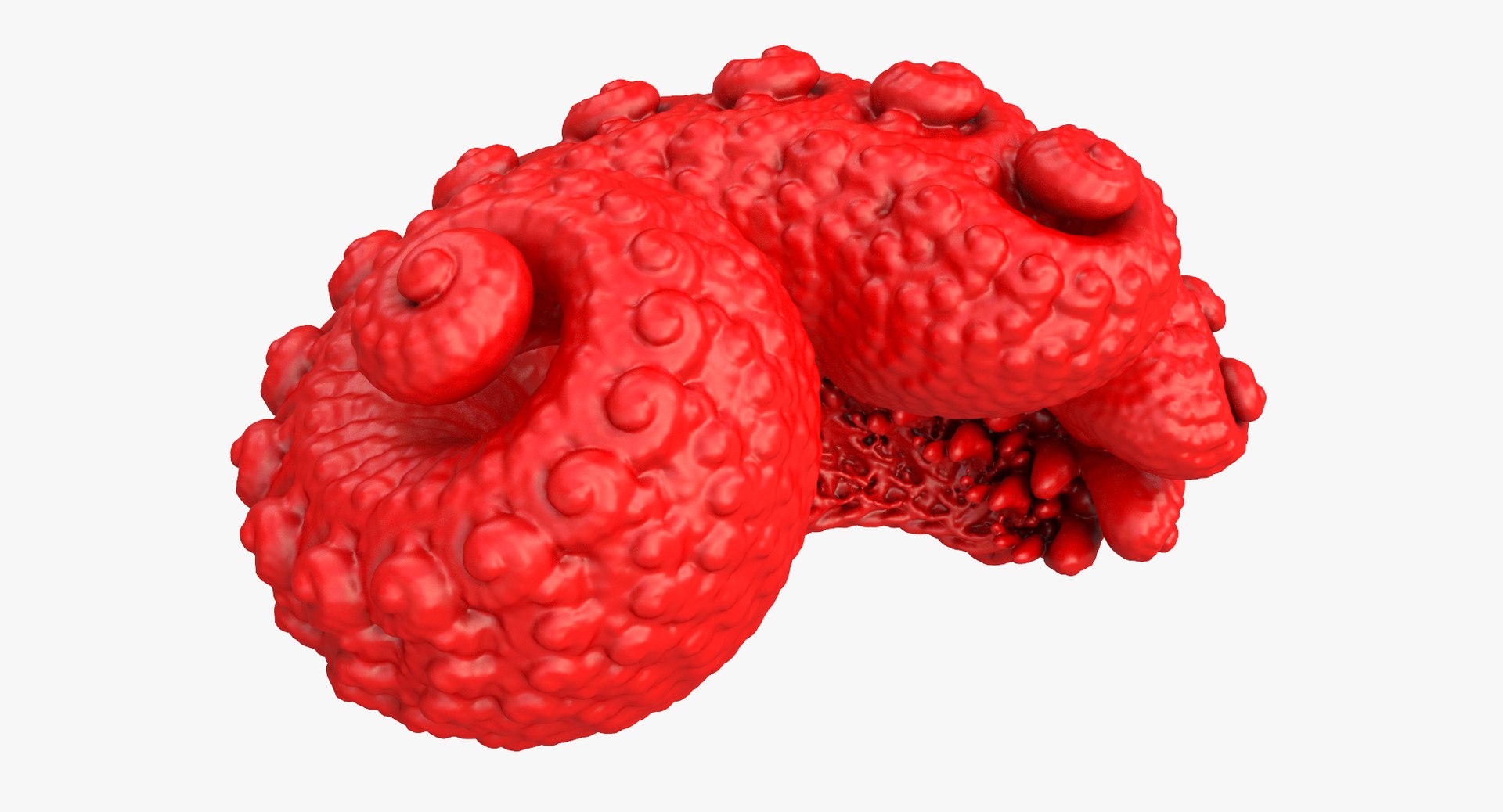 3D Fractal8 Model - TurboSquid 1865632
