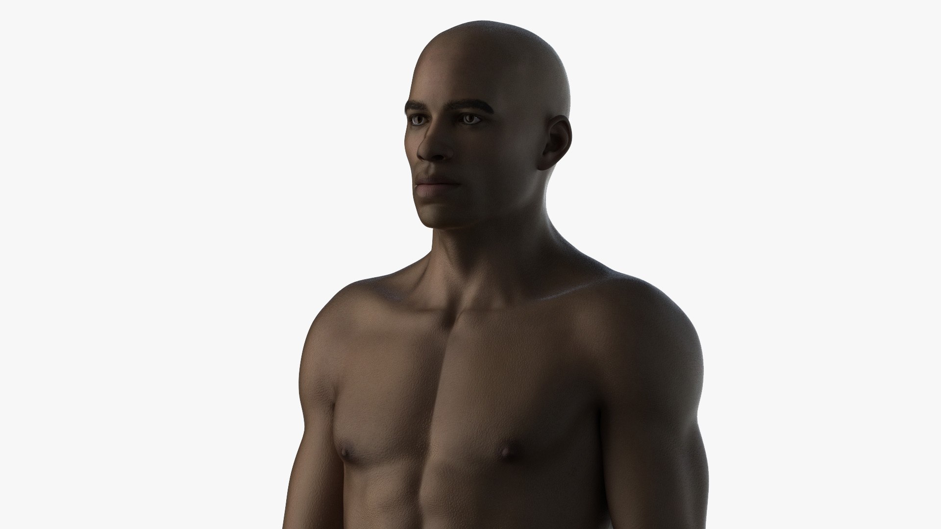 3D Skin African Male Skeleton - TurboSquid 1455398