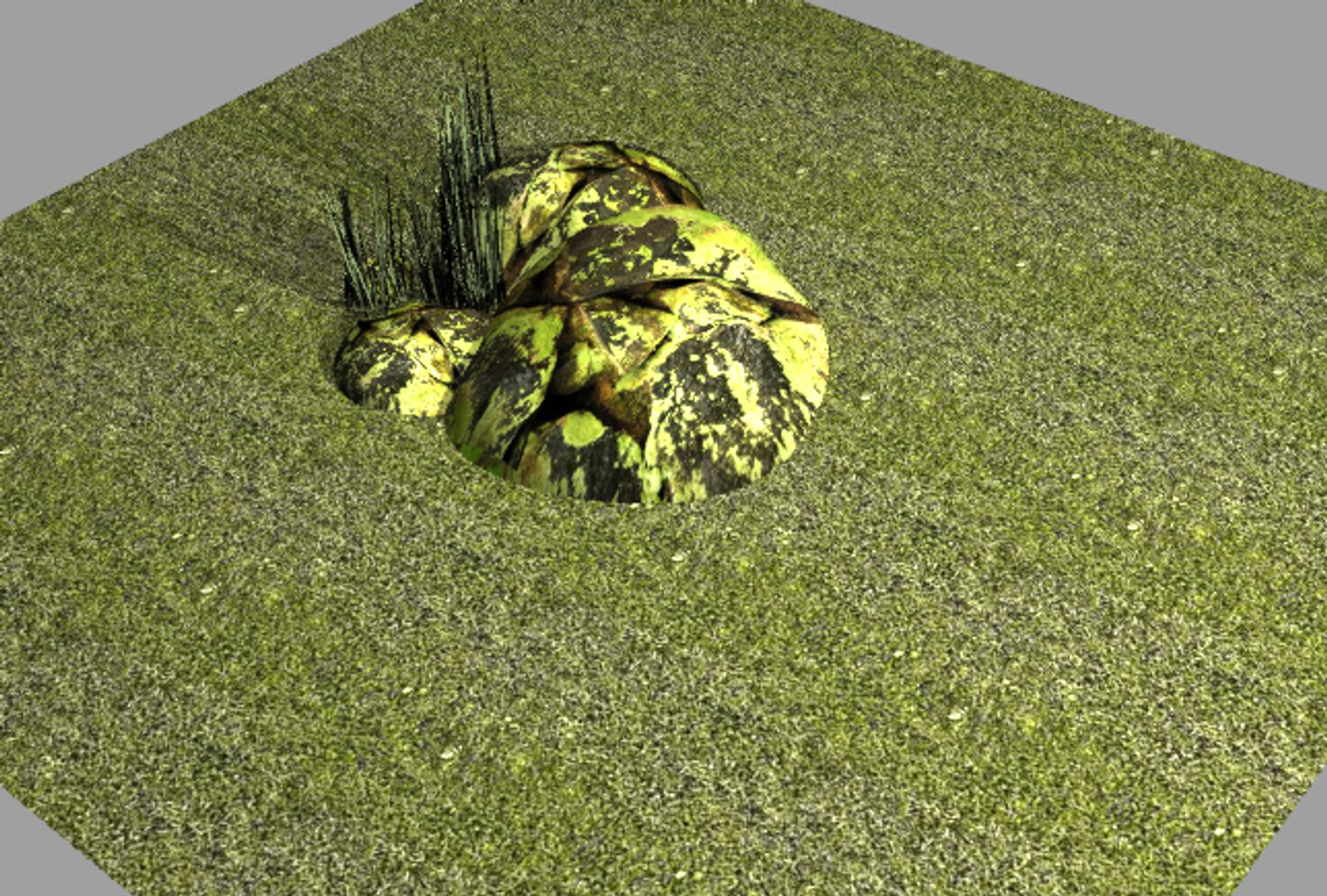 Grass Stones 3d Model