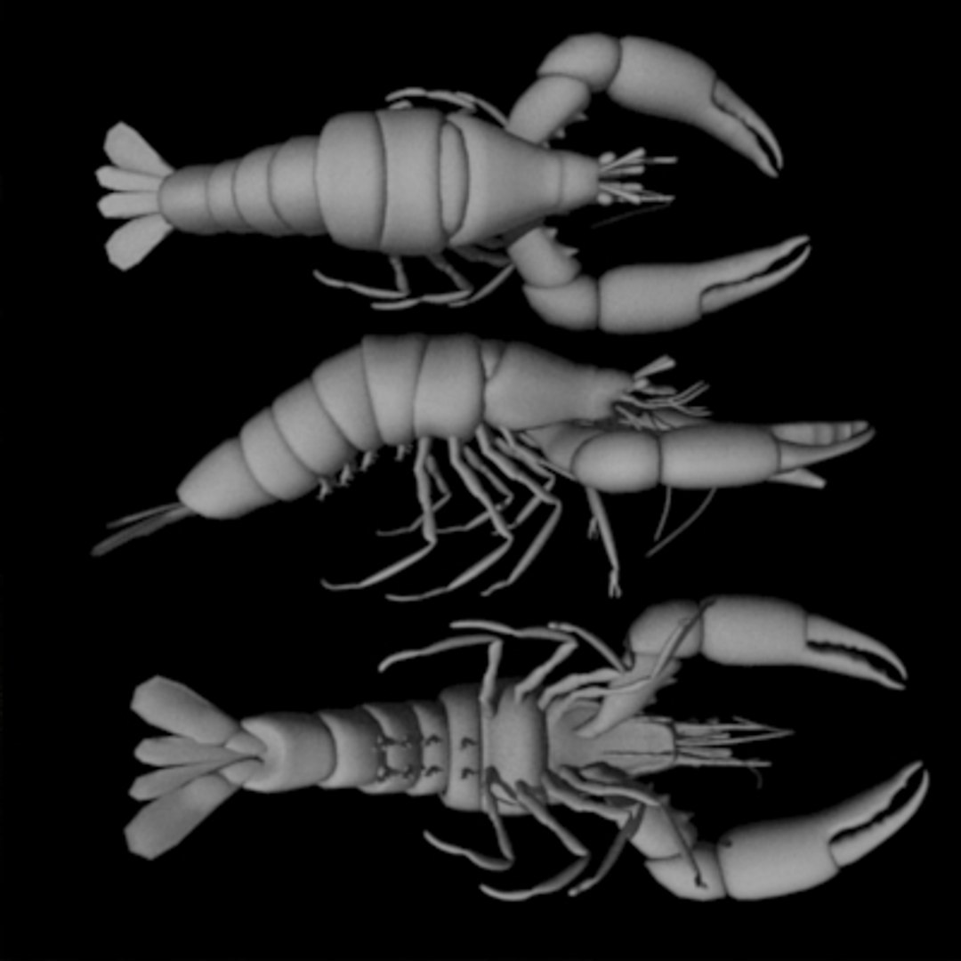 Lobster Obj