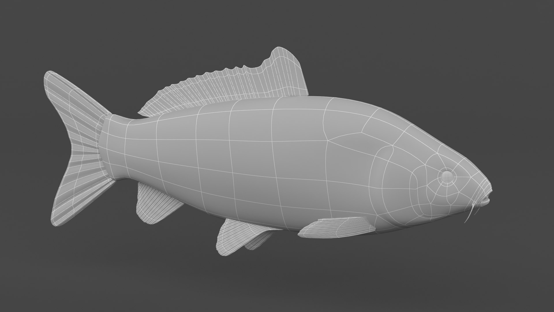 Carp Fish 3D Model - TurboSquid 2028610
