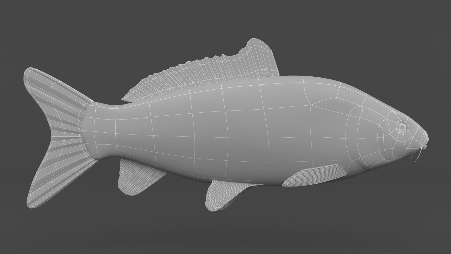 Carp Fish 3D Model - TurboSquid 2028610