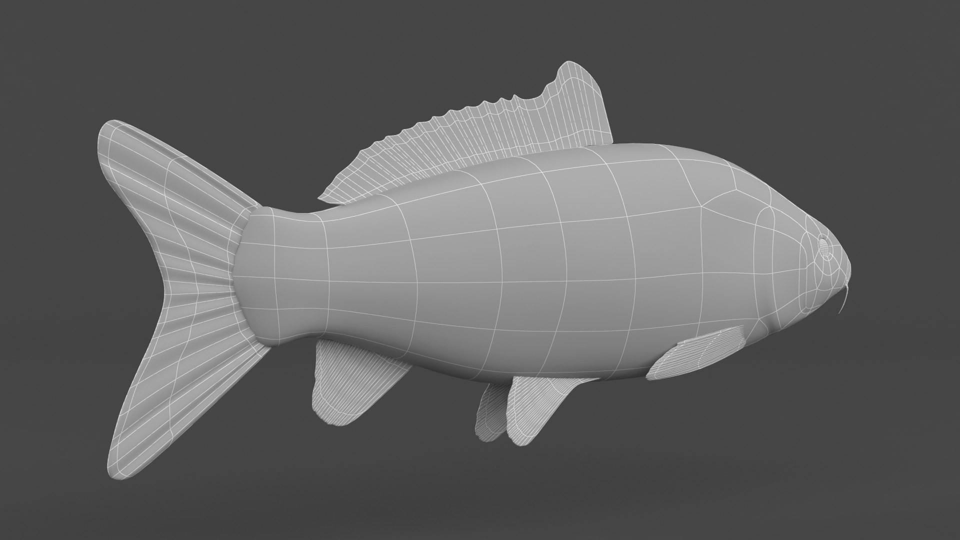 Carp Fish 3D Model - TurboSquid 2028610