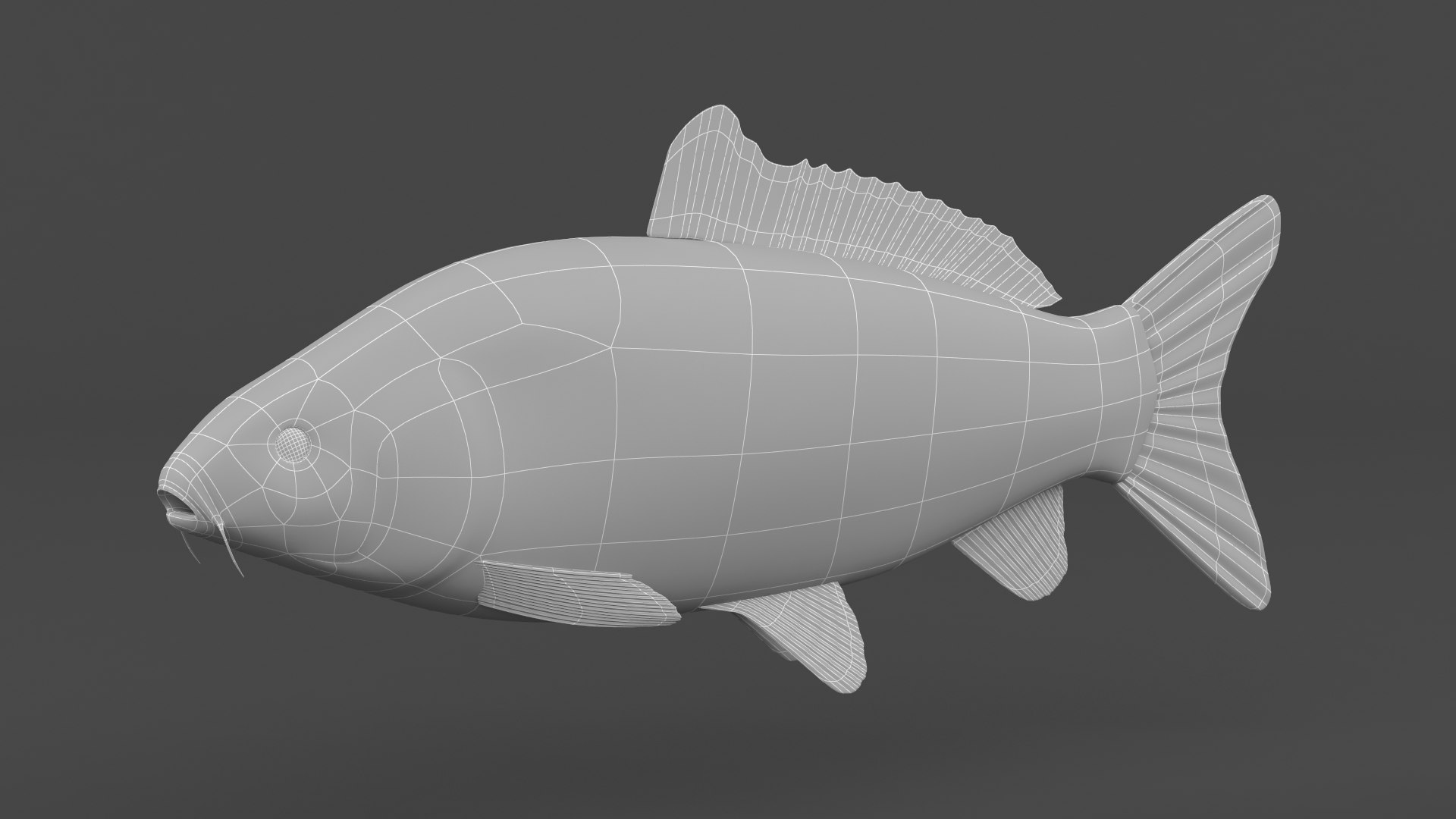 Carp Fish 3D Model - TurboSquid 2028610