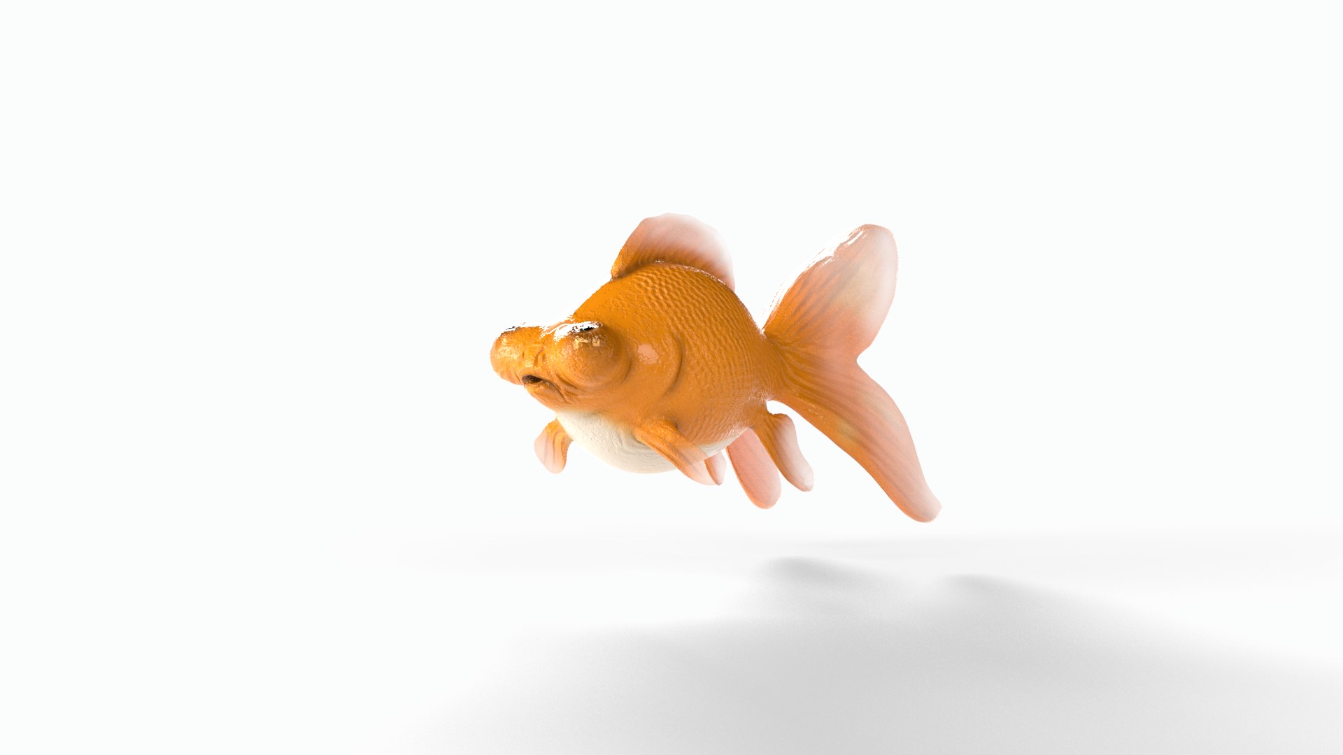 Orange Gold Fish 3D Model - TurboSquid 2410170