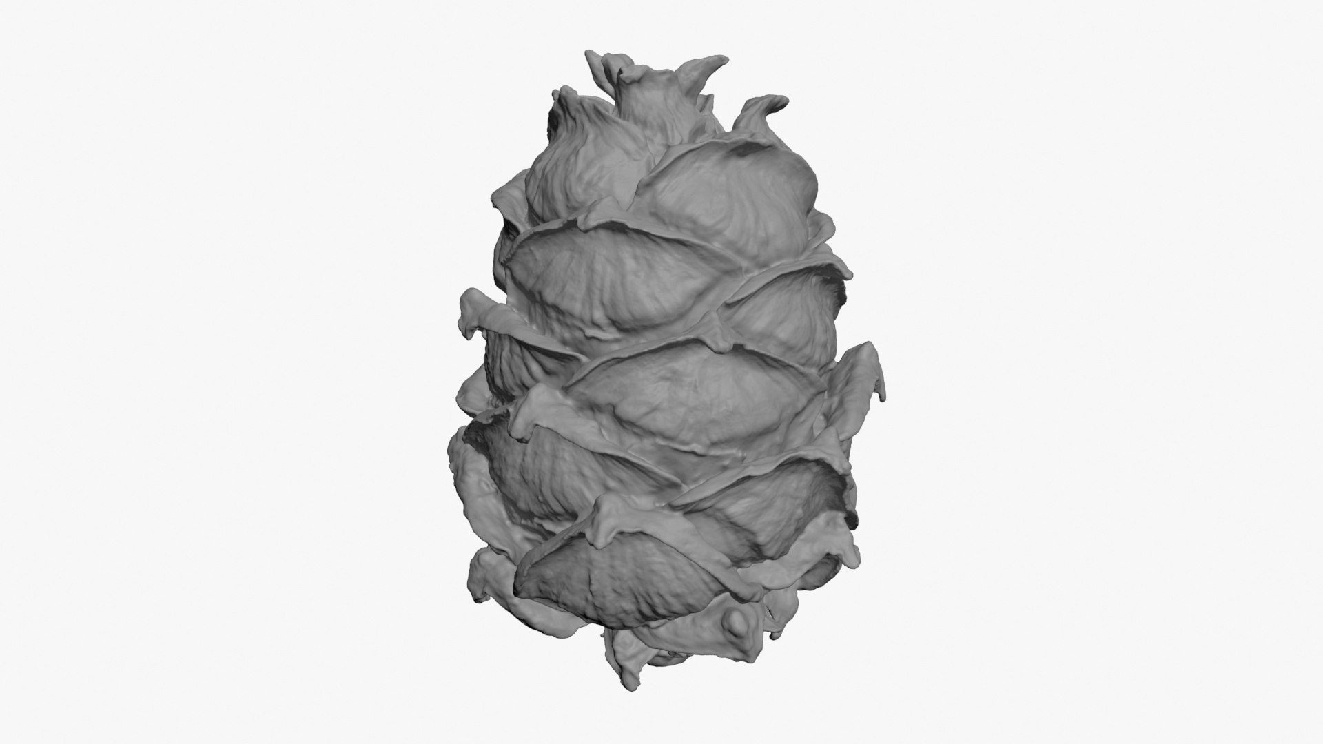 Pine Nut Taiga 03 3D Print Model - TurboSquid 2288128
