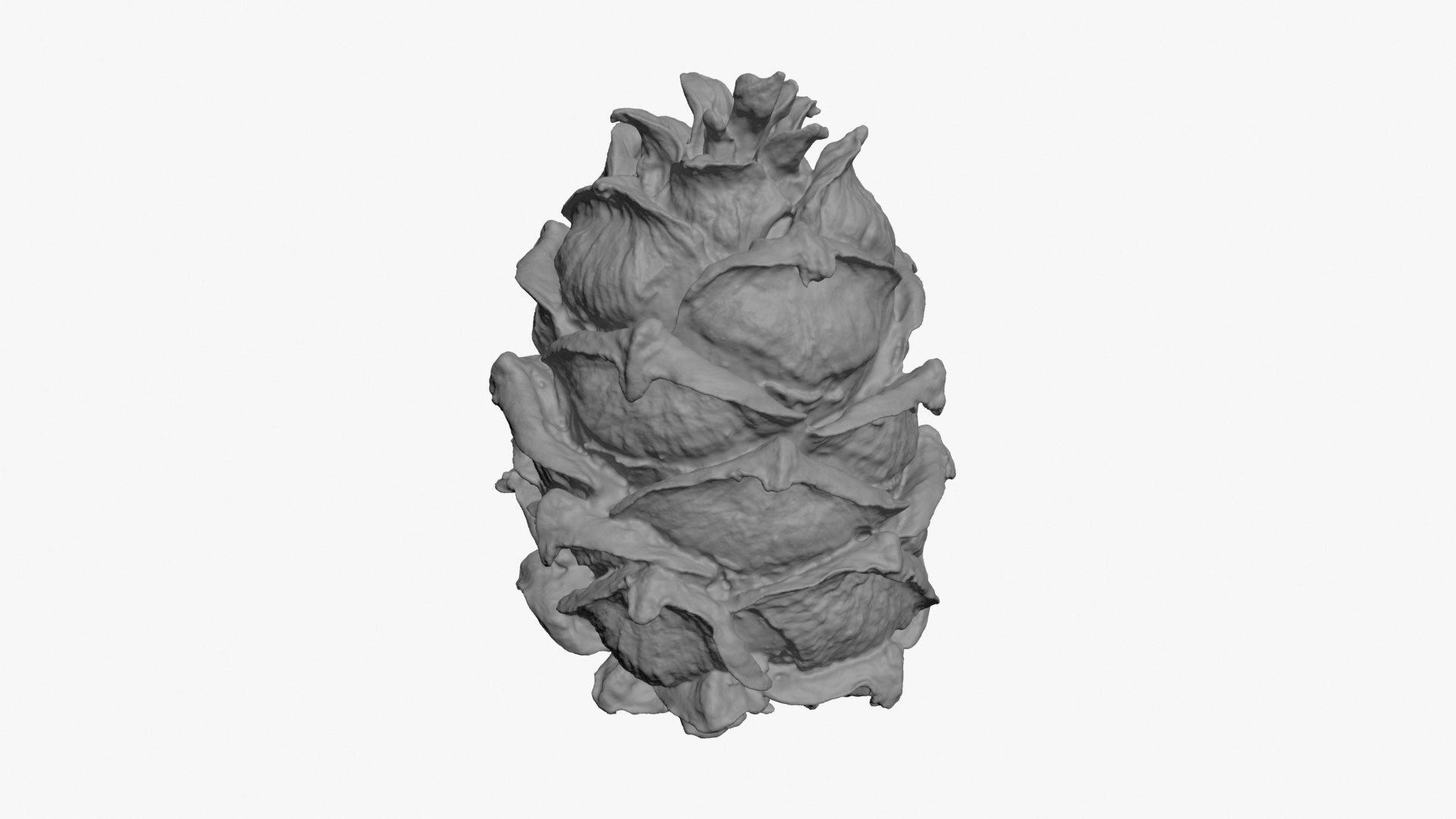Pine Nut Taiga 03 3D Print Model - TurboSquid 2288128
