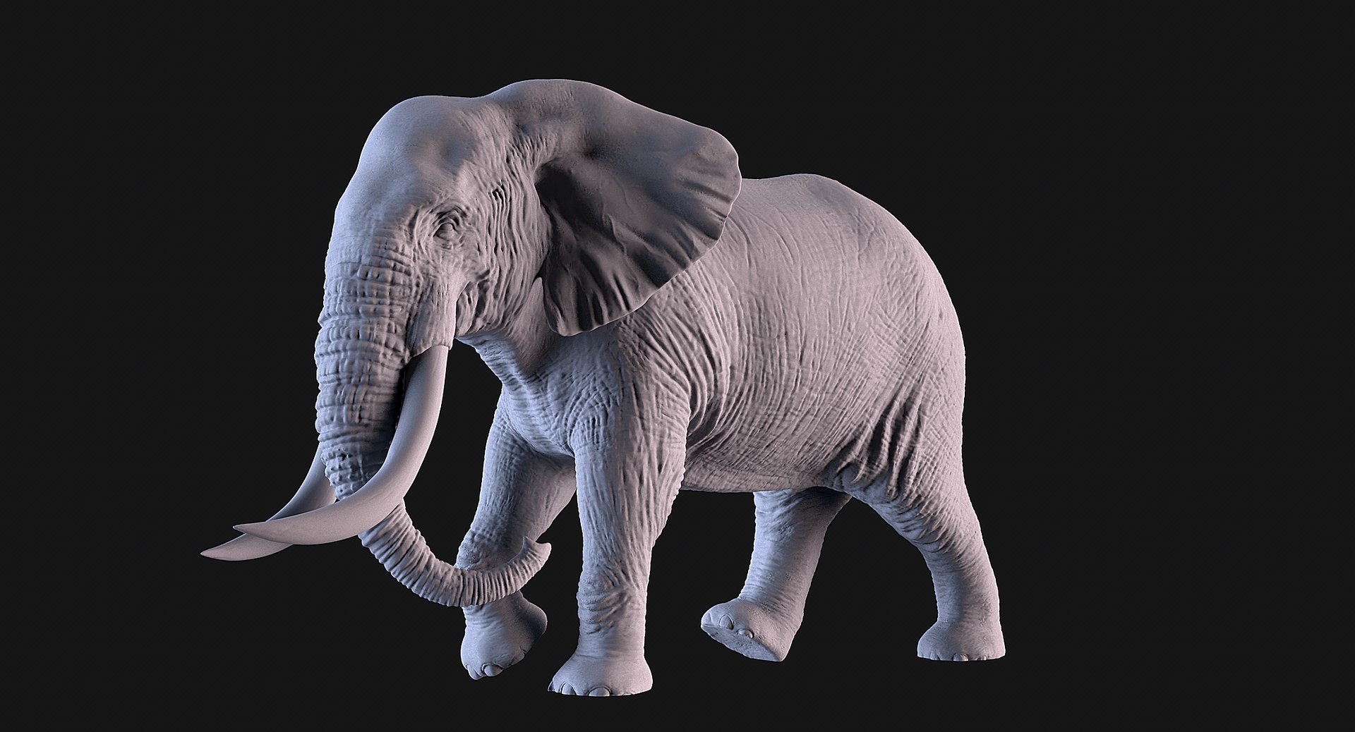 3D Model Elephants African And Asian Species - TurboSquid 2398990