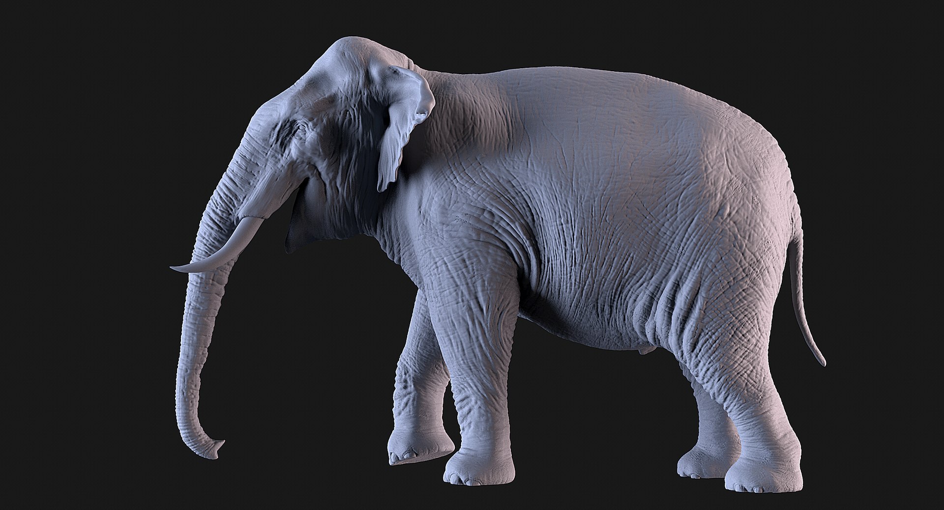 3D Model Elephants African And Asian Species - TurboSquid 2398990