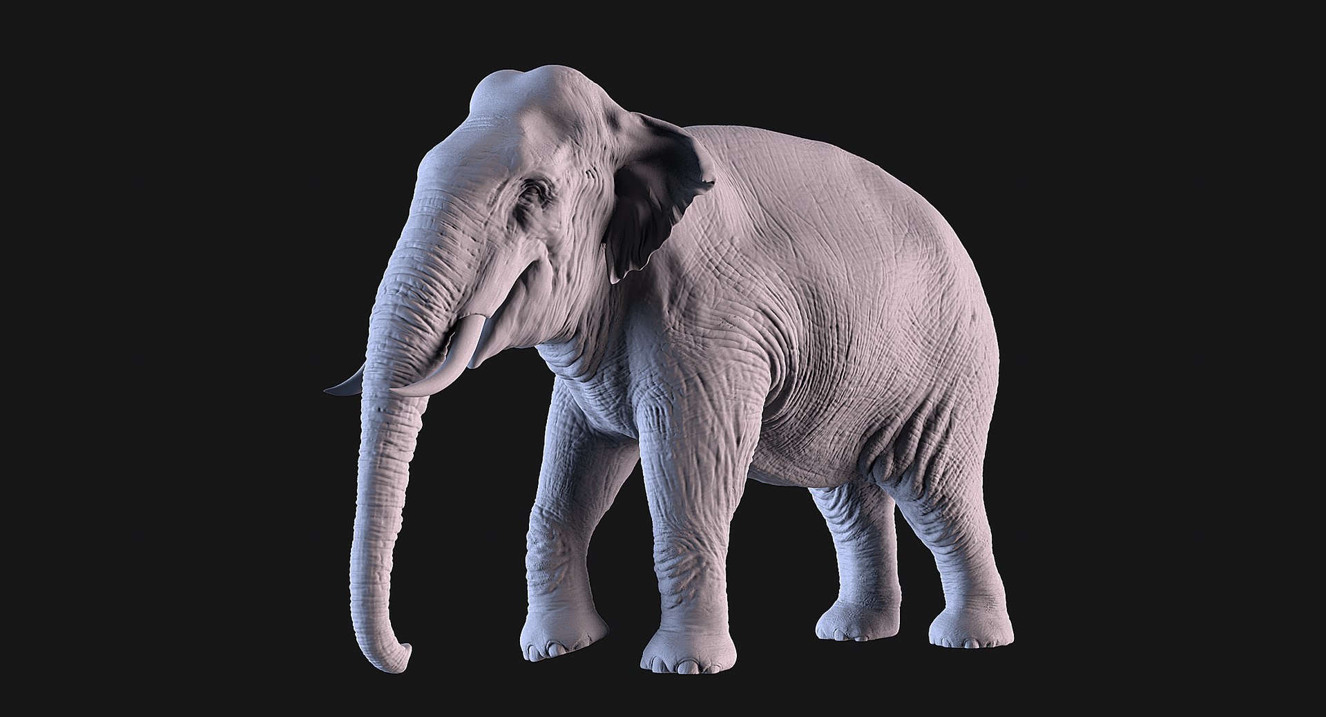 3D Model Elephants African And Asian Species - TurboSquid 2398990