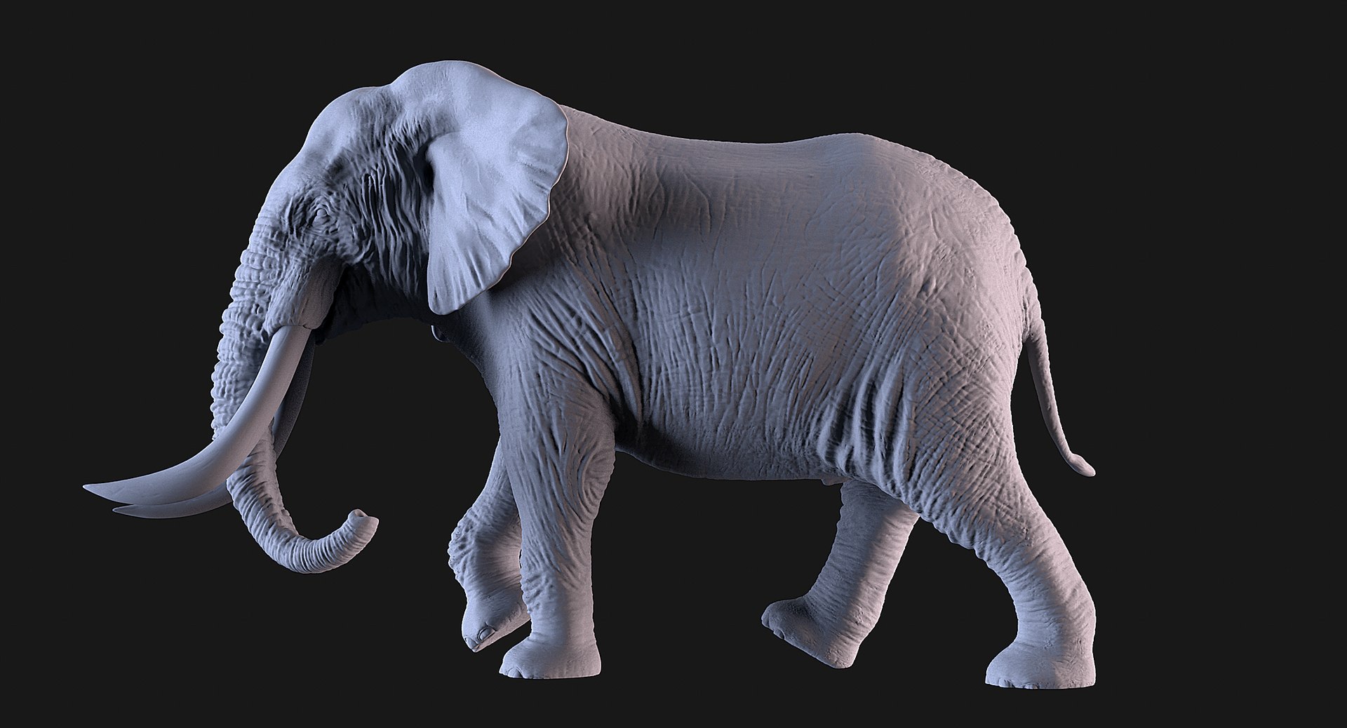 3D Model Elephants African And Asian Species - TurboSquid 2398990
