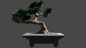 3D Bonsai Tree Model - TurboSquid 1806200