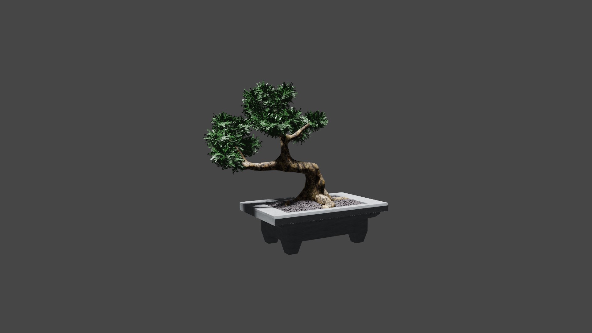 3D Bonsai Tree - TurboSquid 1805656