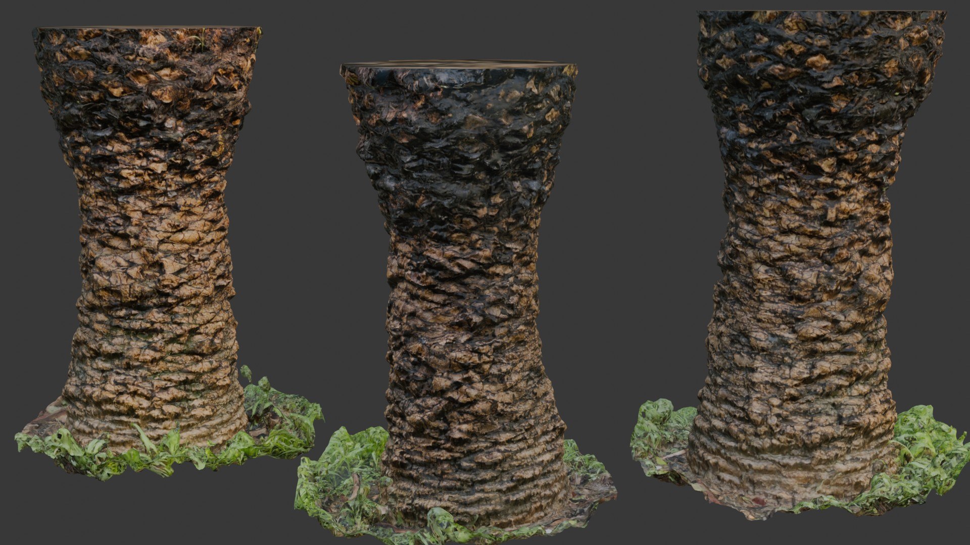 Palm Tree Trunk 3D Scan 3D - TurboSquid 2395502