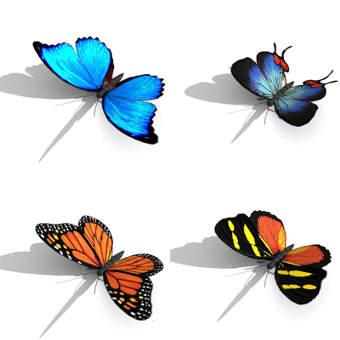 3d Obj Butterfly Item