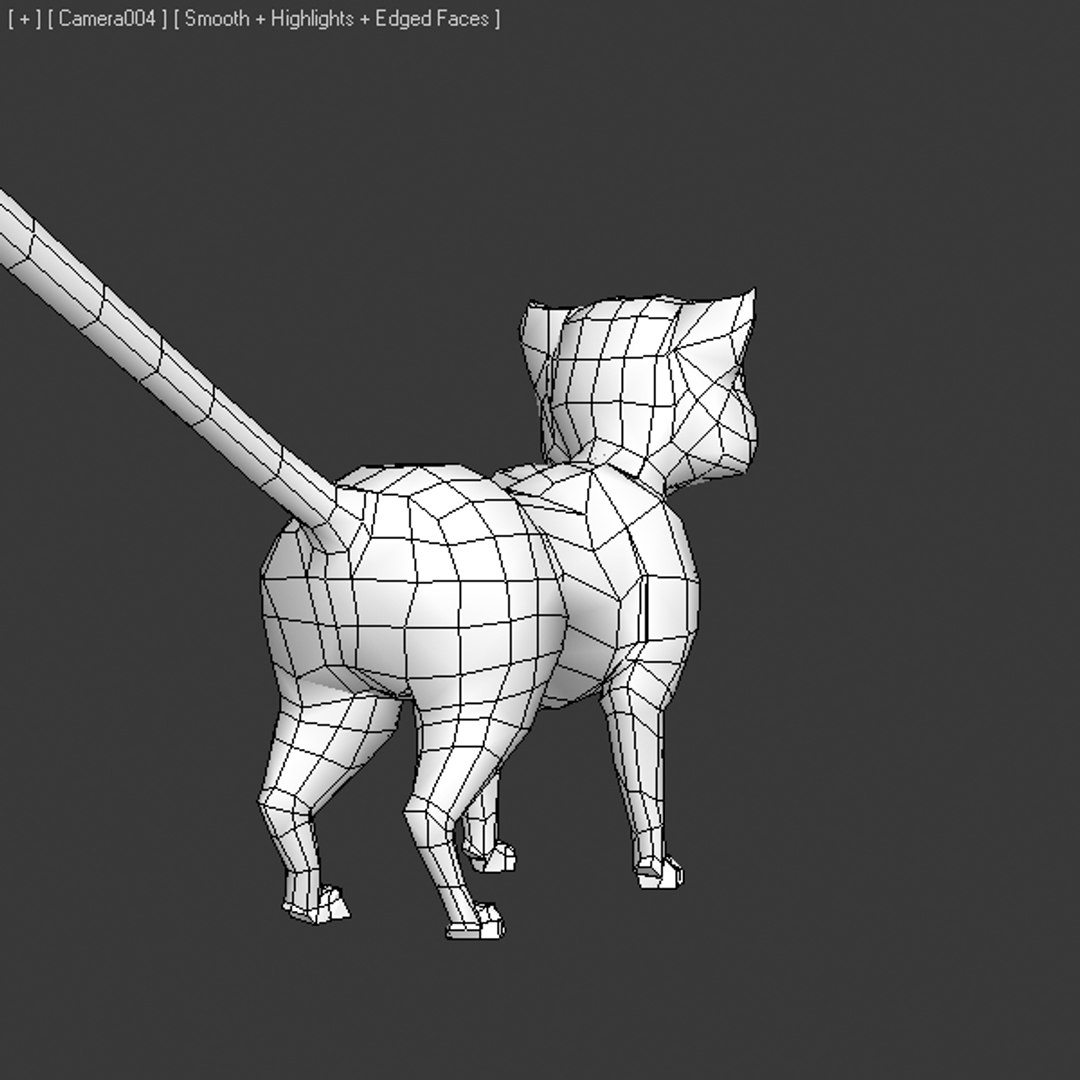 3d Cat Toon
