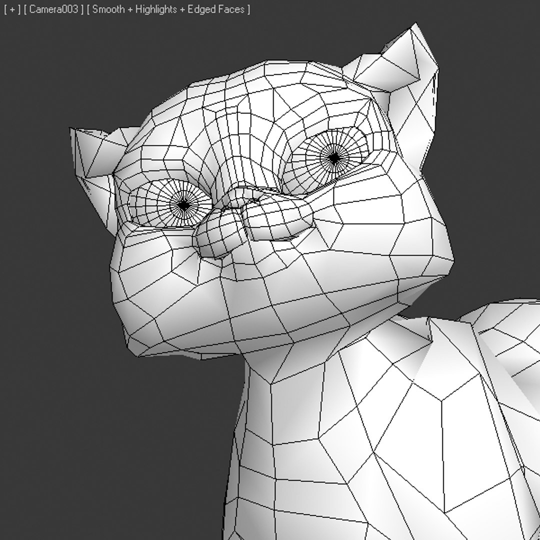 3d Cat Toon