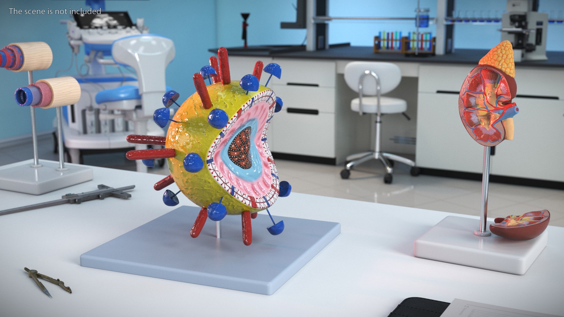 3D Influenza Virus Cross-Section Model On Base - TurboSquid 2414803