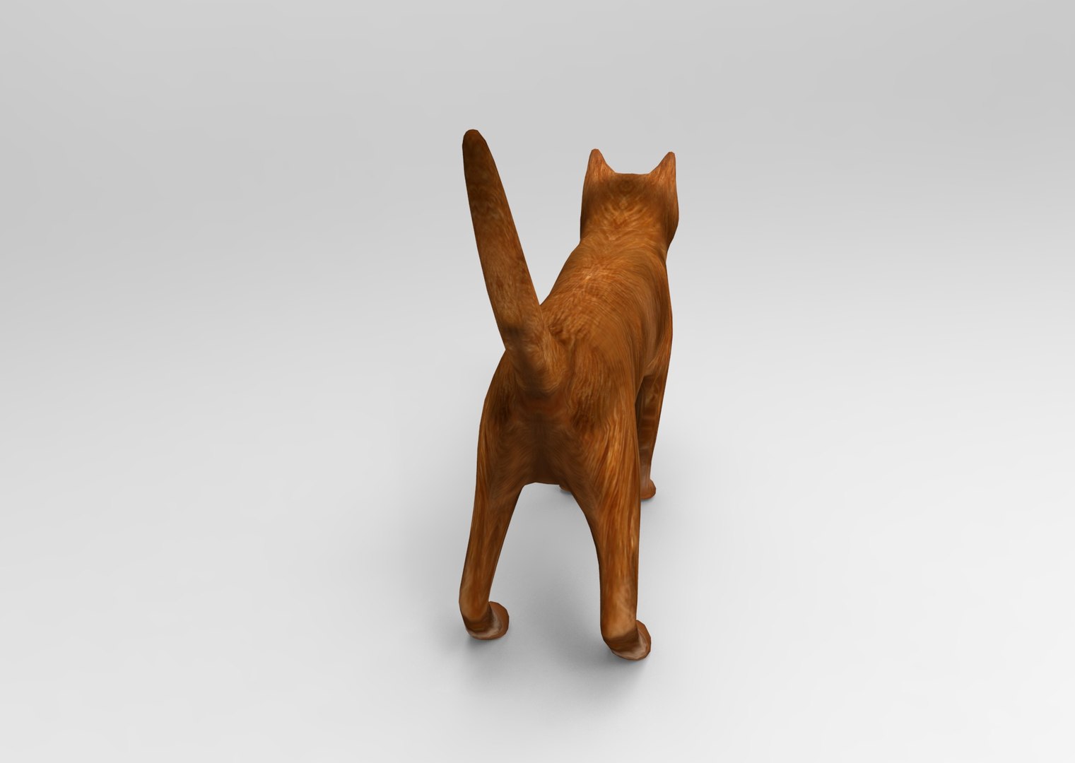 3ds Cat Ready