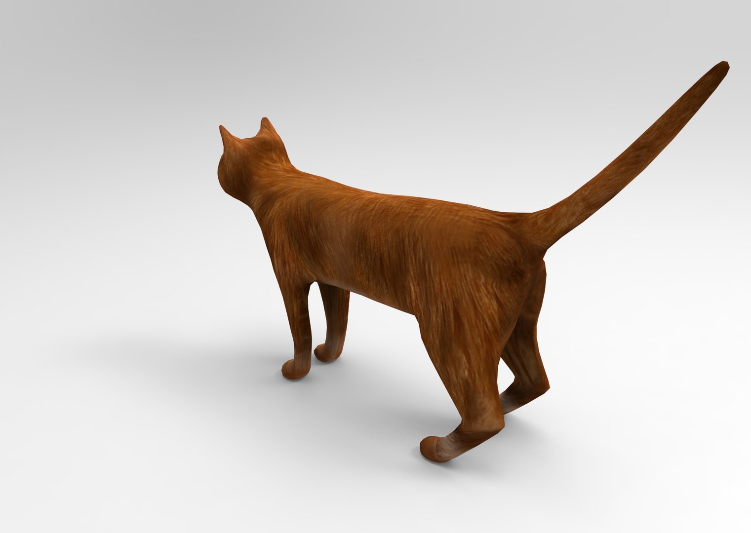3ds Cat Ready
