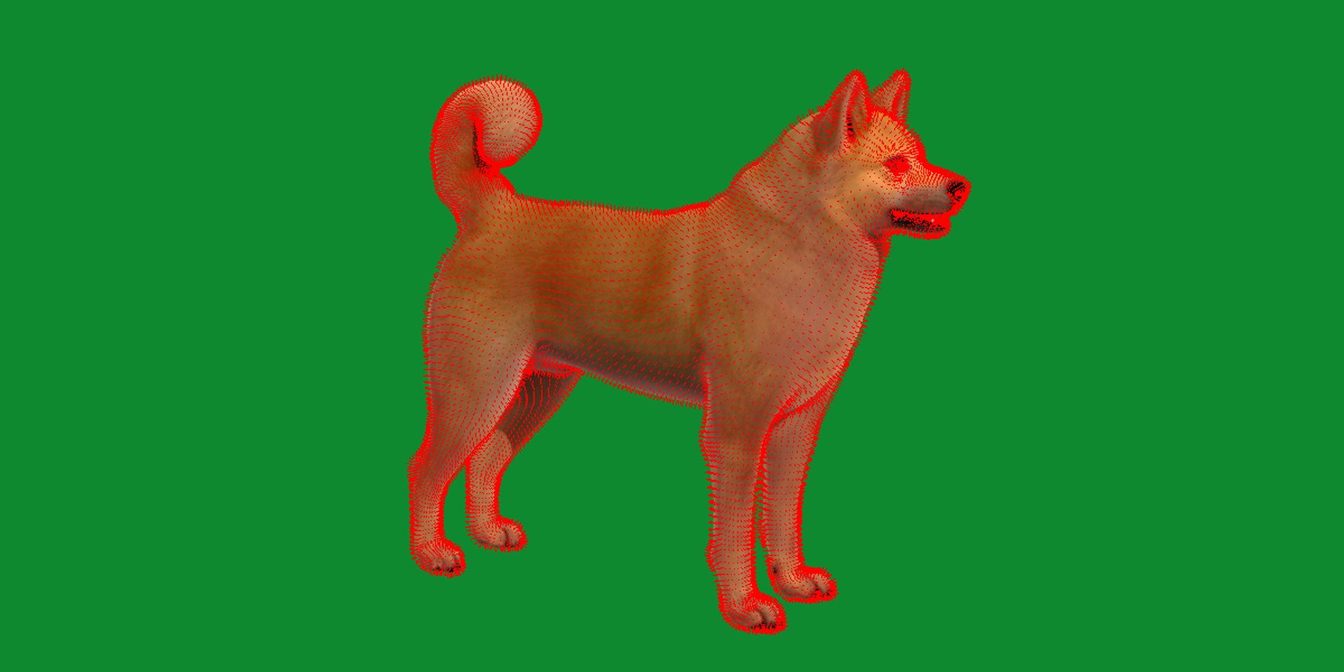 3D Finnish Spitz Dog - TurboSquid 2285531