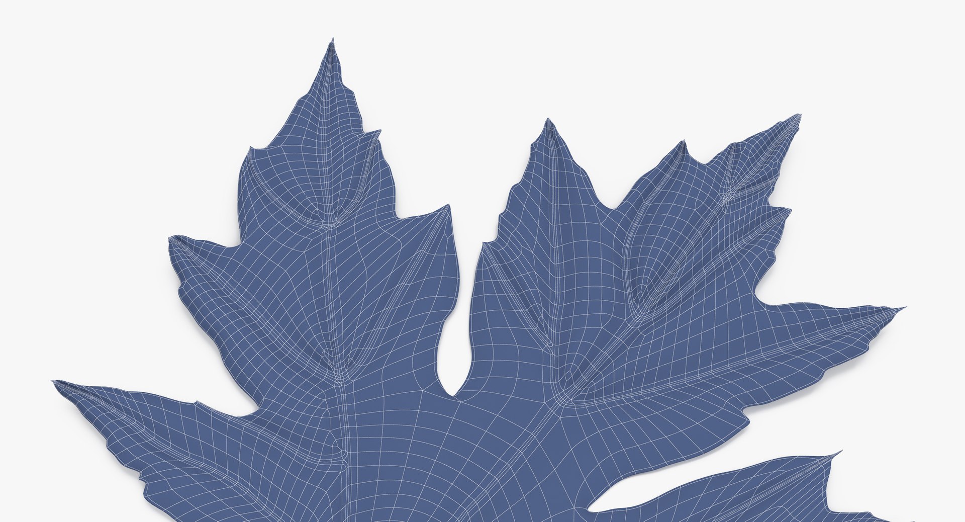 max yellow maple leaf