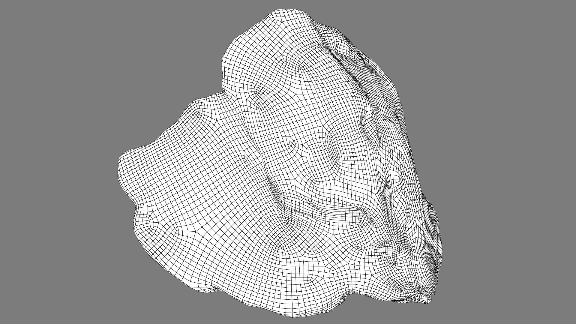 Essential 3D Scanned Rock 07 Model - TurboSquid 2064198