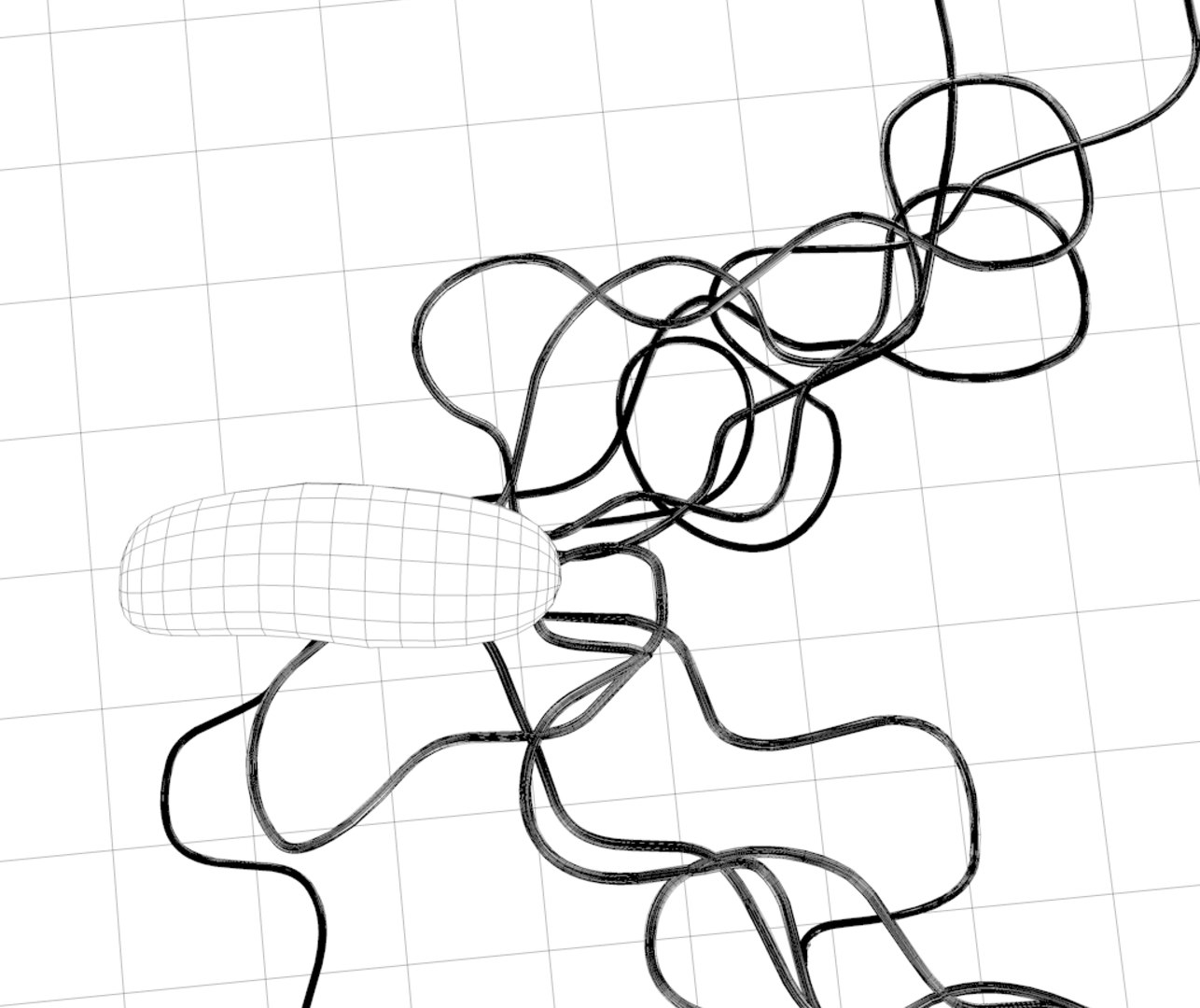Bacteria Bacterium Vibrio Model - TurboSquid 1307450