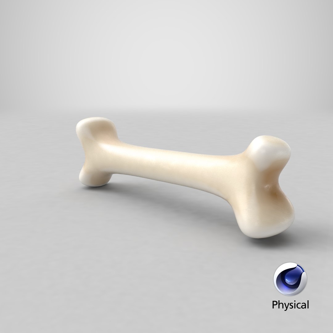 3D Model Cartoon Bone - TurboSquid 1448646