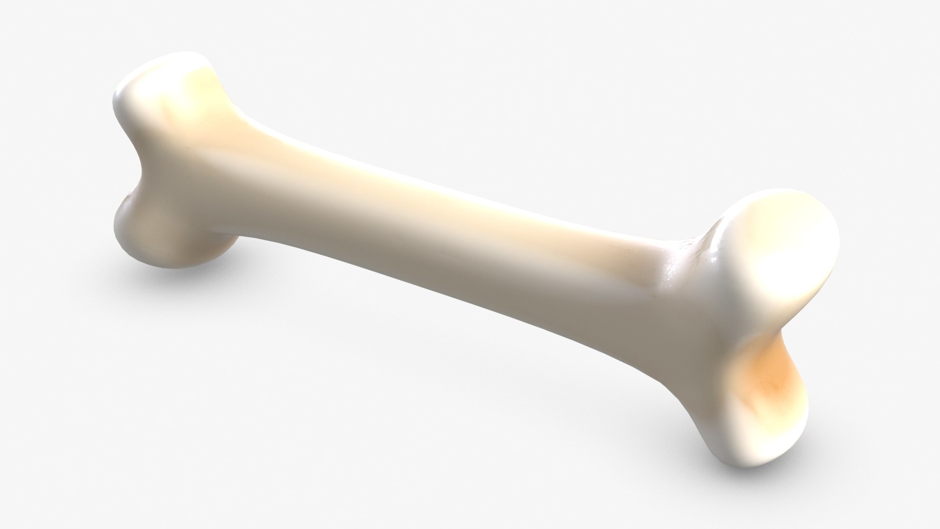 3D Model Cartoon Bone - TurboSquid 1448646