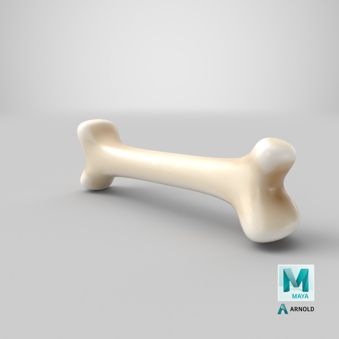 3D model cartoon bone - TurboSquid 1448646