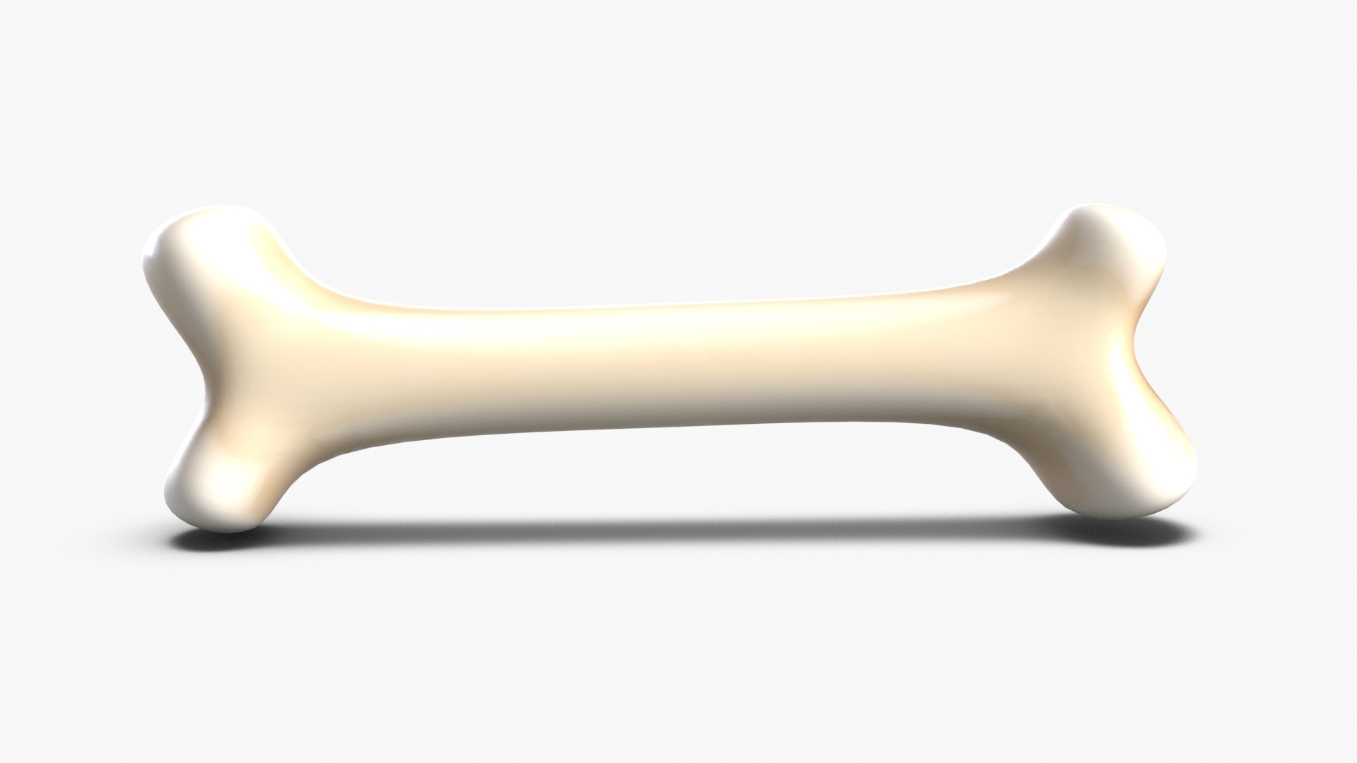 3D Model Cartoon Bone - TurboSquid 1448646