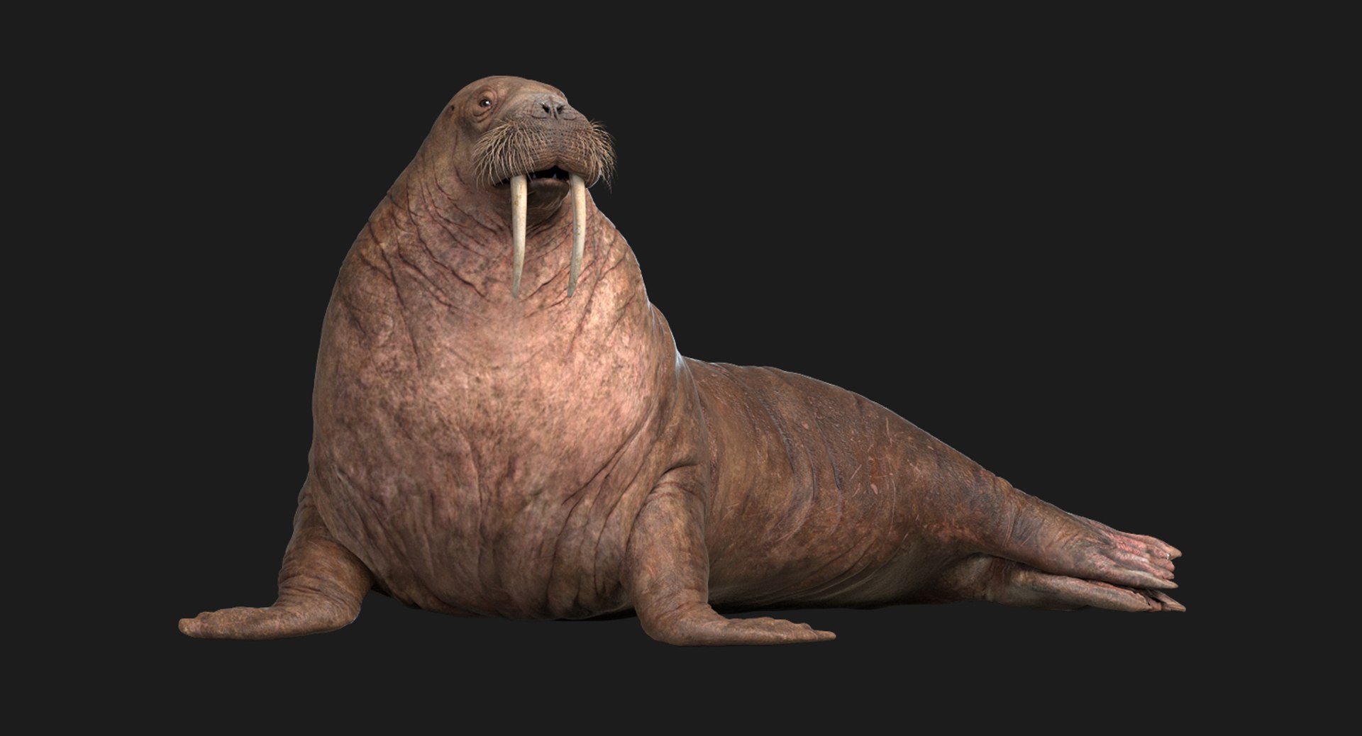 Realistic rigged 3D model - TurboSquid 1341276