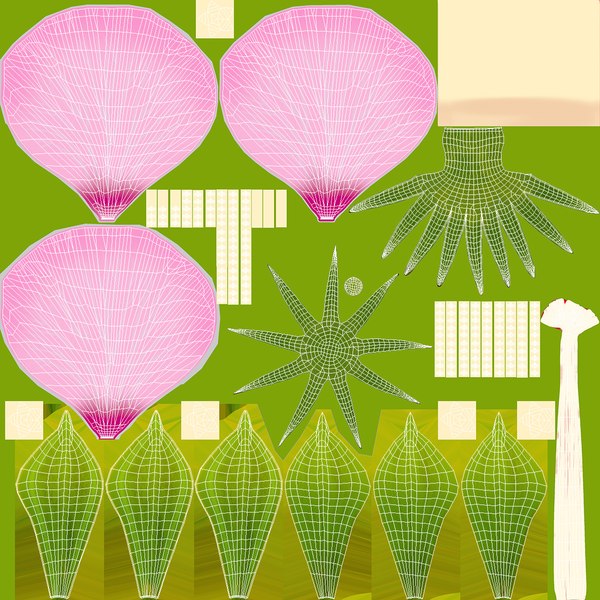 Hibiscus flower pink 3D model - TurboSquid 1647928