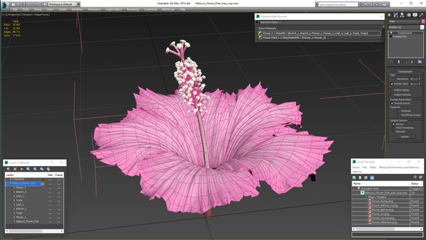 Hibiscus flower pink 3D model - TurboSquid 1647928