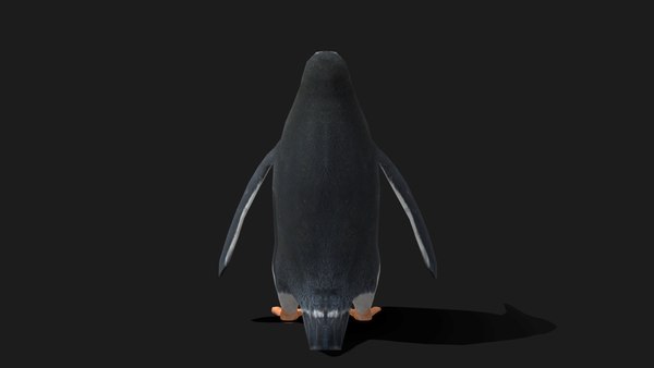 Penguin gentoo model - TurboSquid 1688396