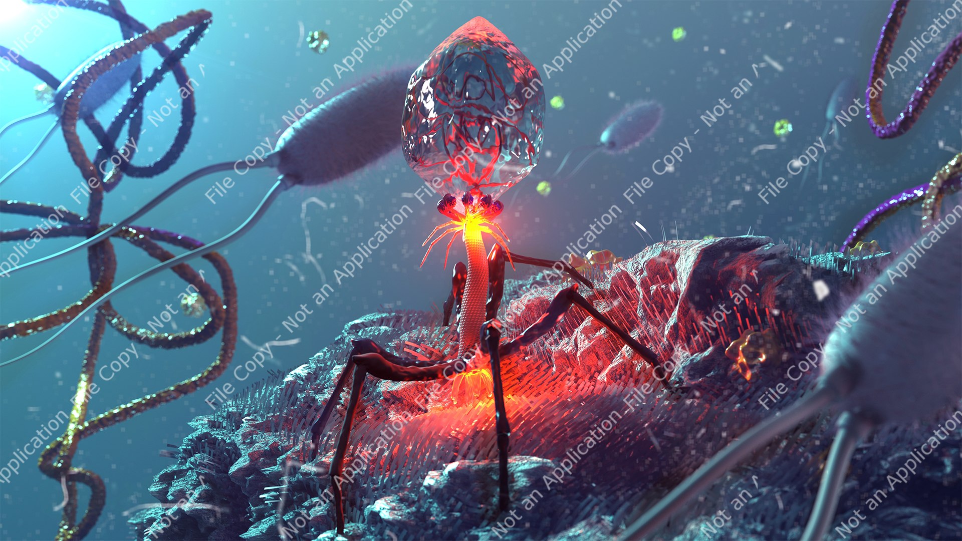 3D Bacteriophage Bacteria Virus Model - TurboSquid 1512615