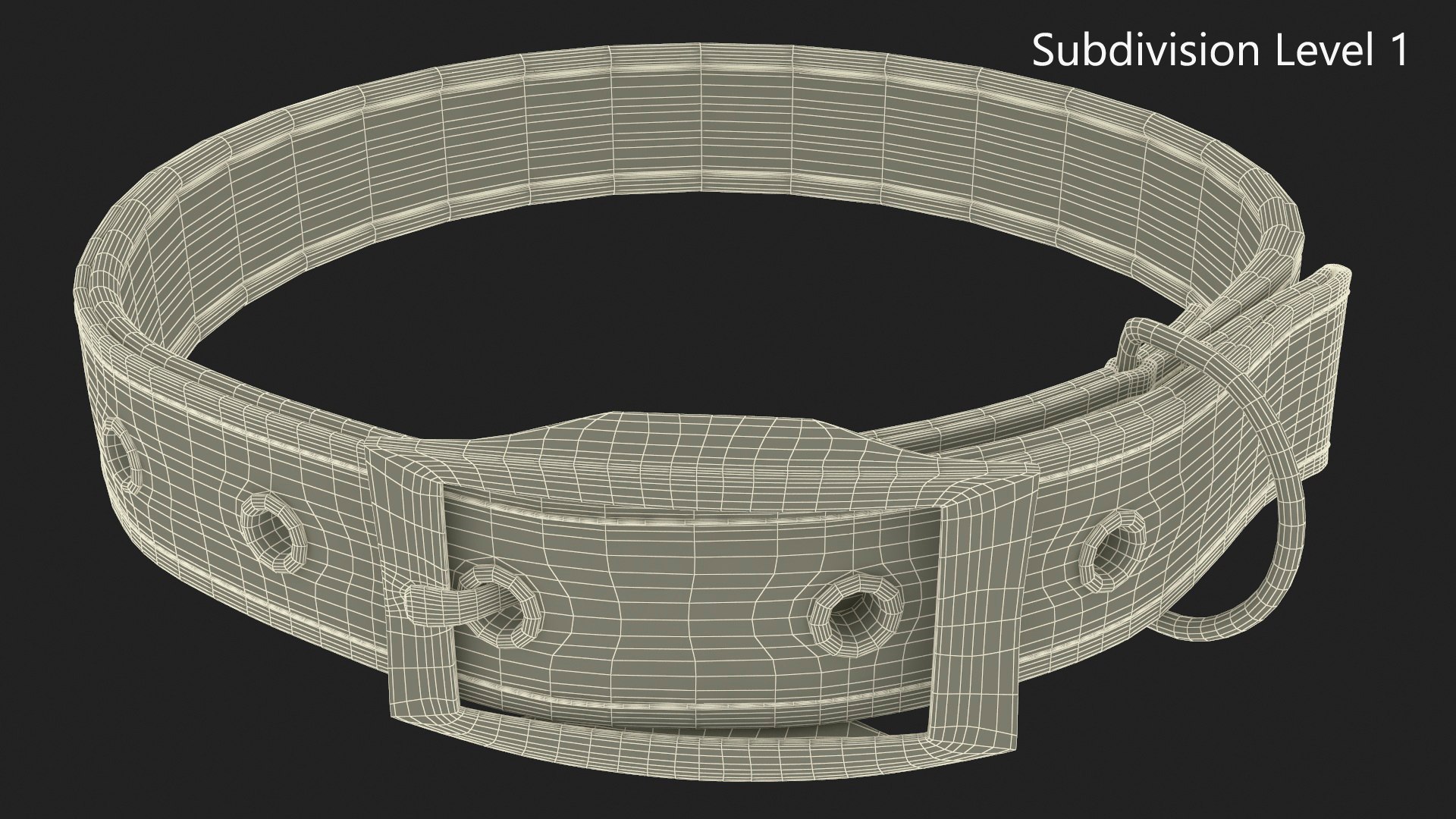 3D Pet Collar With Buckle Model - TurboSquid 2194201