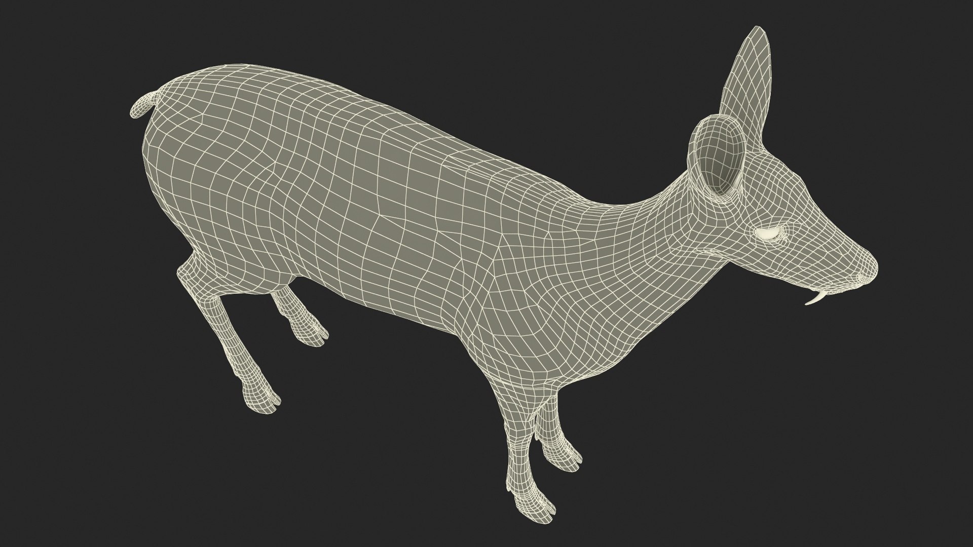 Moschus Moschiferus 3D model - TurboSquid 2181282