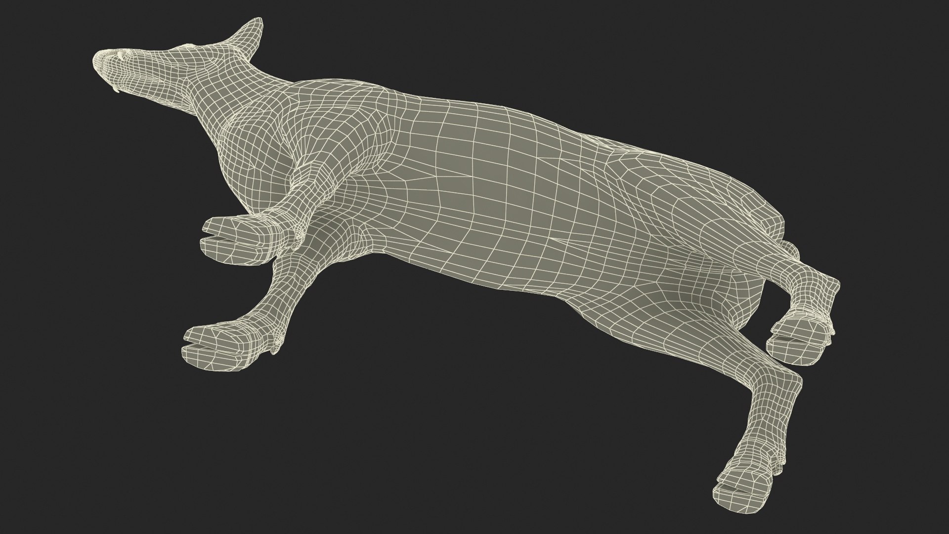 Moschus Moschiferus 3D model - TurboSquid 2181282