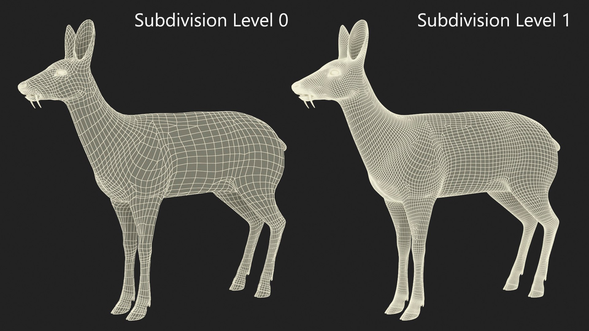 Moschus Moschiferus 3D model - TurboSquid 2181282