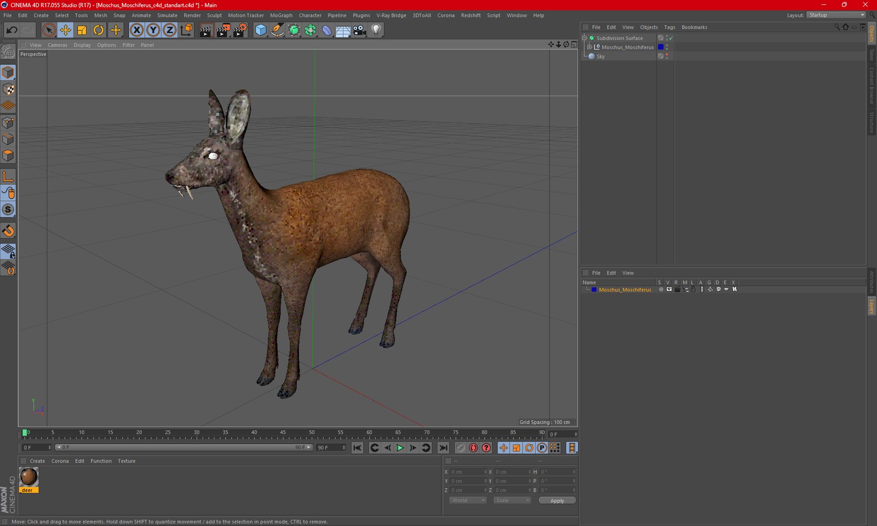 Moschus Moschiferus 3D model - TurboSquid 2181282