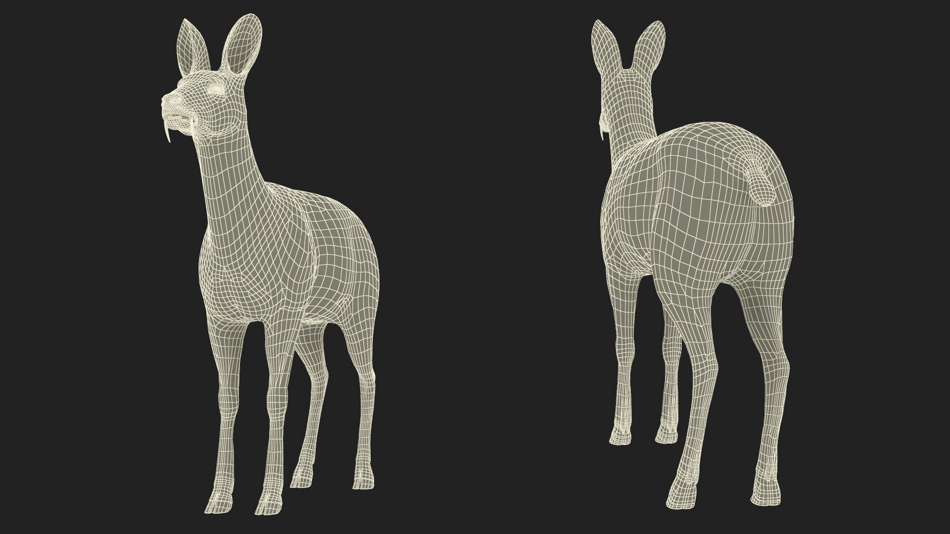 Moschus Moschiferus 3D model - TurboSquid 2181282