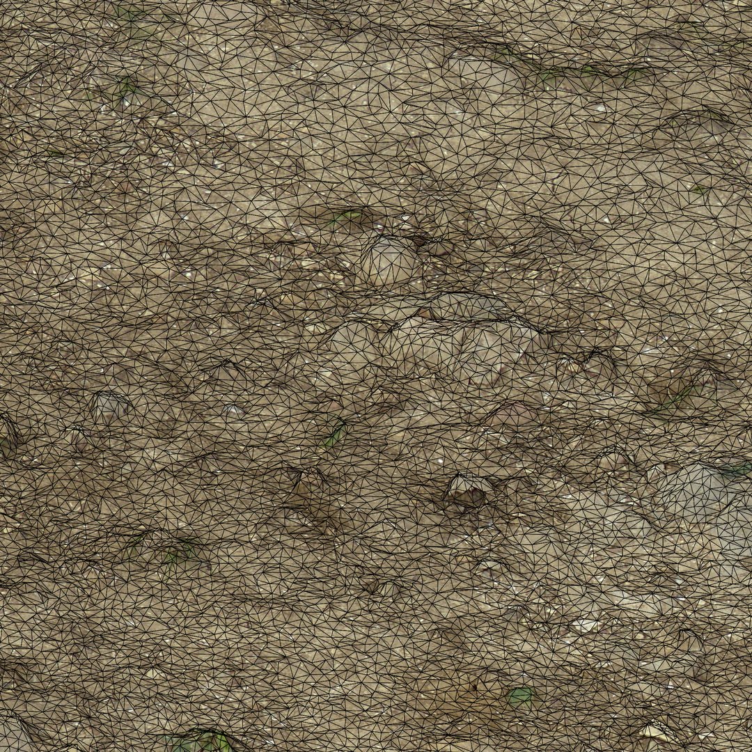 Hi Res Scan 3D - TurboSquid 1292616